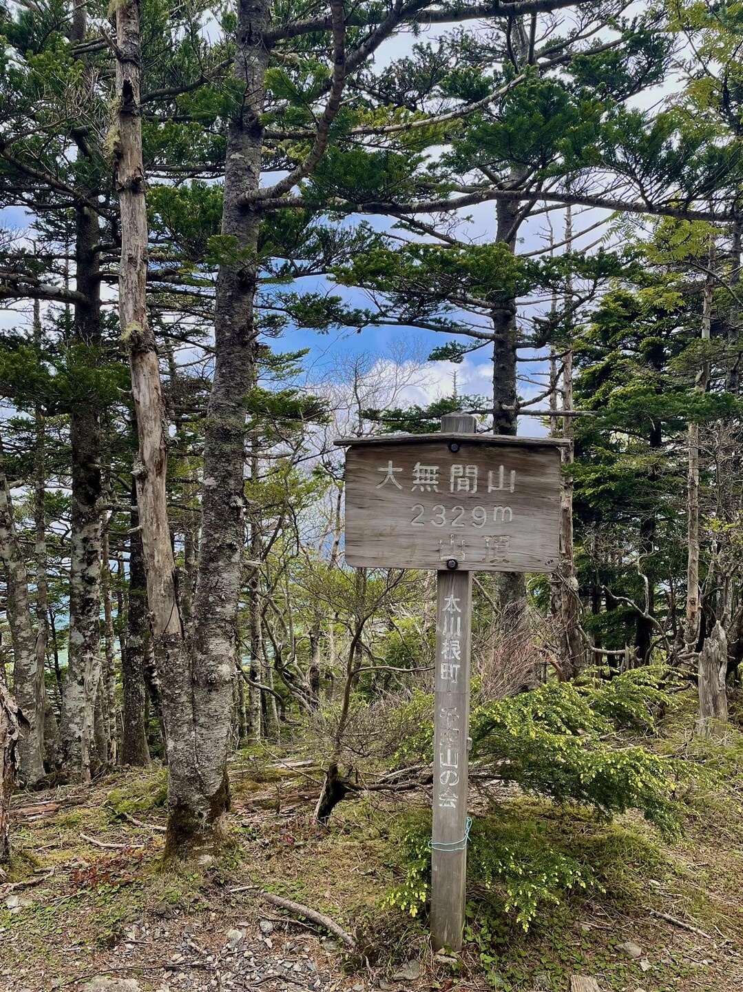 【二百名山_大無間山】大無間山で南アデビュー / ice_macaroonsさんの大無間山の活動日記 | YAMAP / ヤマップ