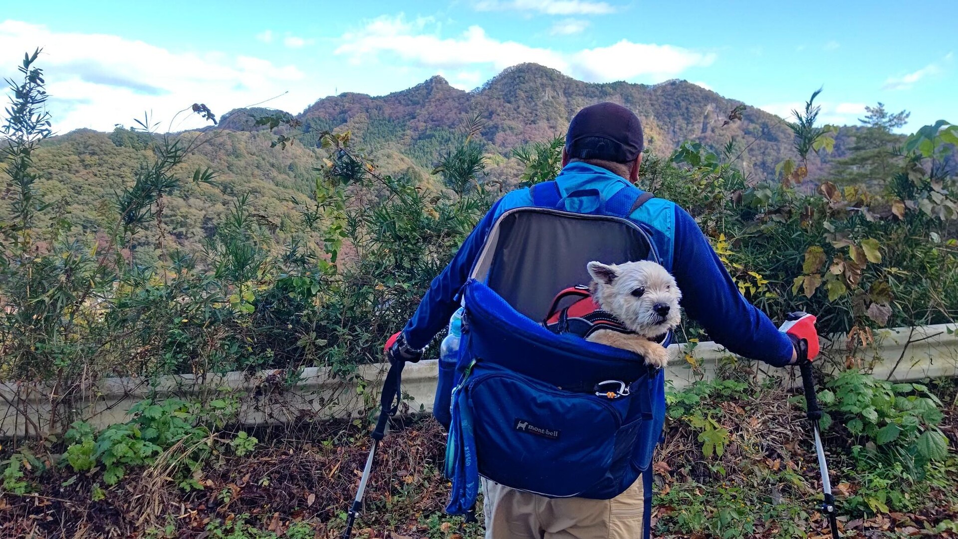 奥久慈男体山・月居山・篭岩（篭岩山）-2023-11-14 / takaCさんの奥久慈男体山・月居山・篭岩（篭岩山）の活動データ | YAMAP / ヤマップ