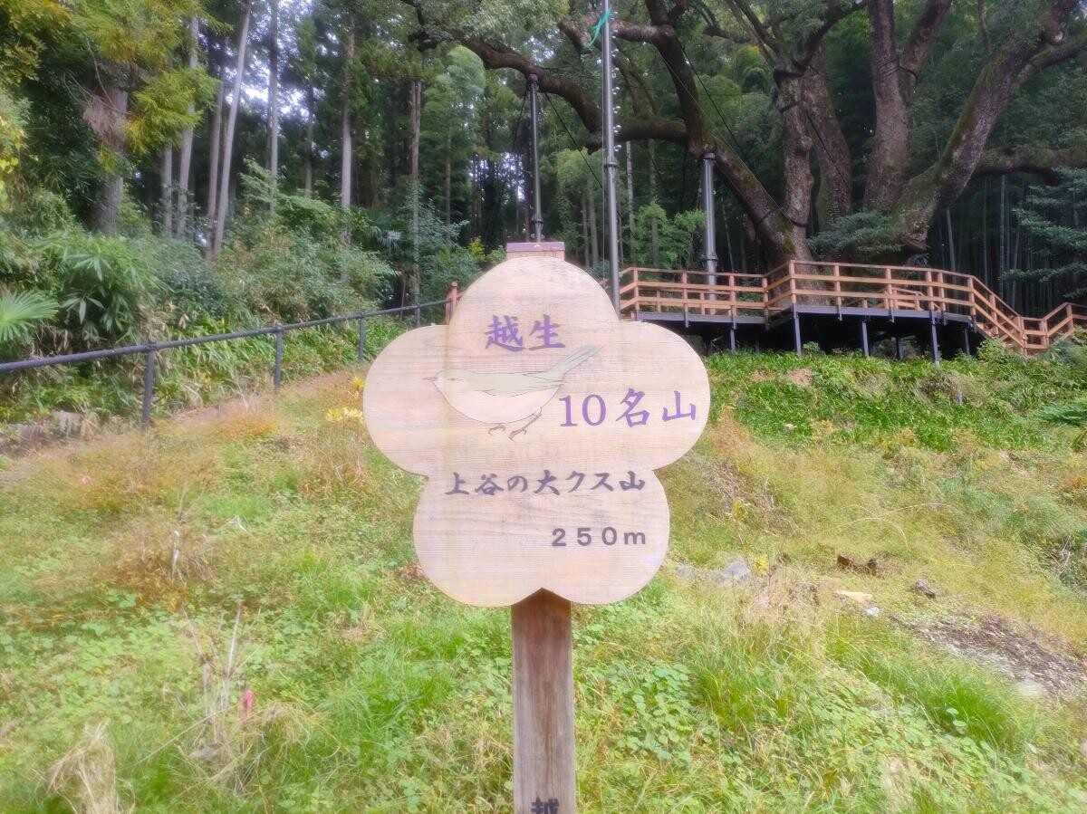 越生10名山 1dayチャレンジ / tsさんの大高取山の活動データ | YAMAP / ヤマップ