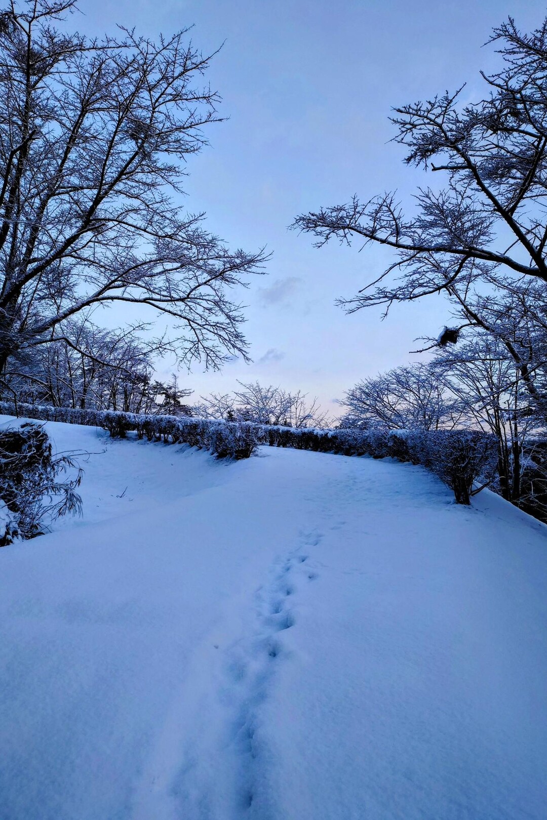 【warming up】 ️戸塚森 ️ 2025.02.14 / おがちゃんさんの戸塚森の活動データ | YAMAP / ヤマップ