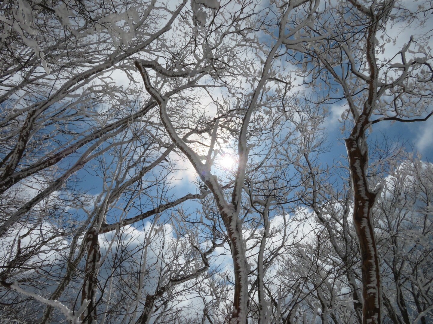 高見山 / naOmi-n7さんの高見山・黒石山・天狗山の活動データ | YAMAP / ヤマップ