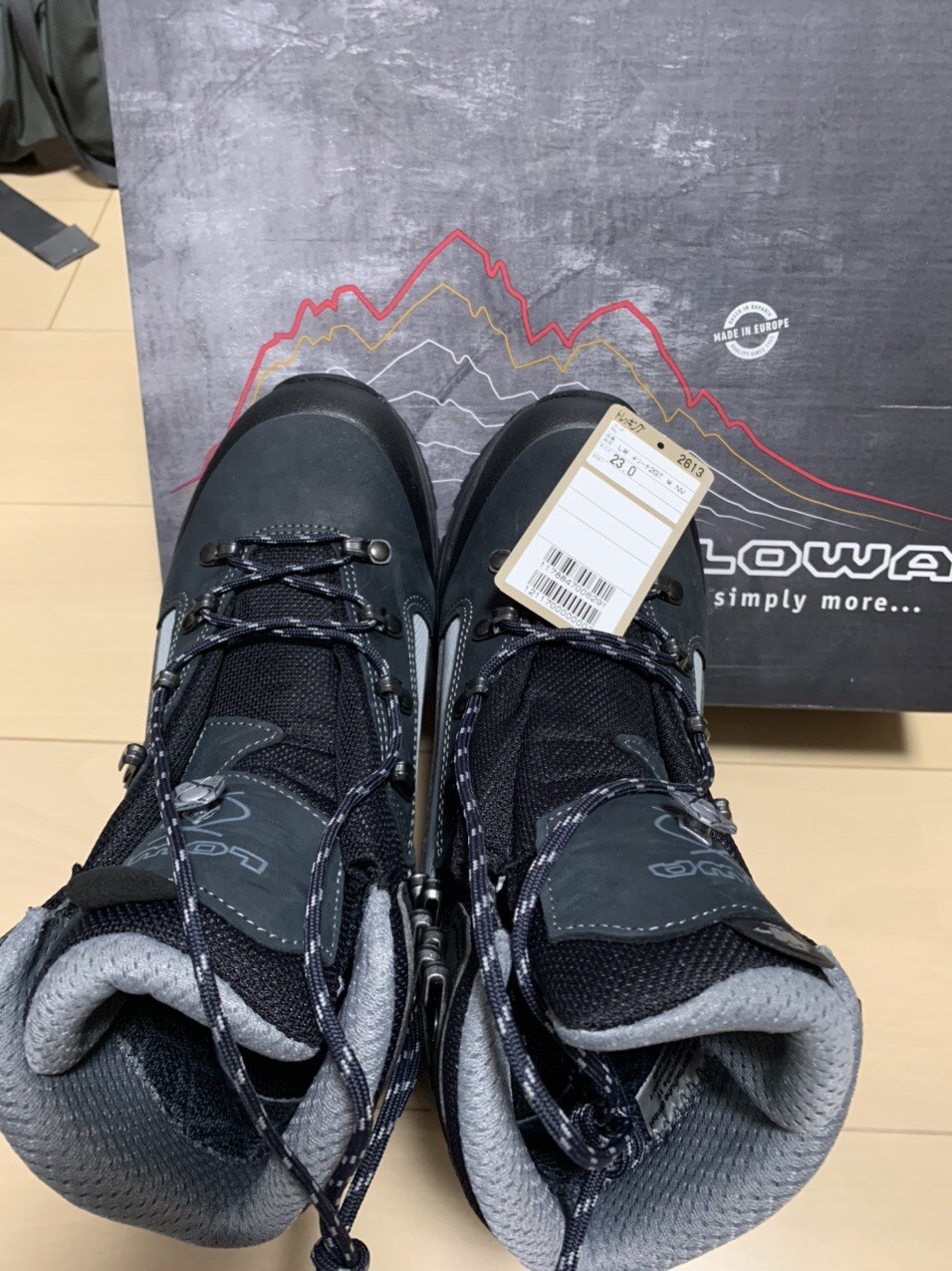 最近買ったお気に入りの靴🥾 LOWAメ... / emiさんのモーメント | YAMAP / ヤマップ