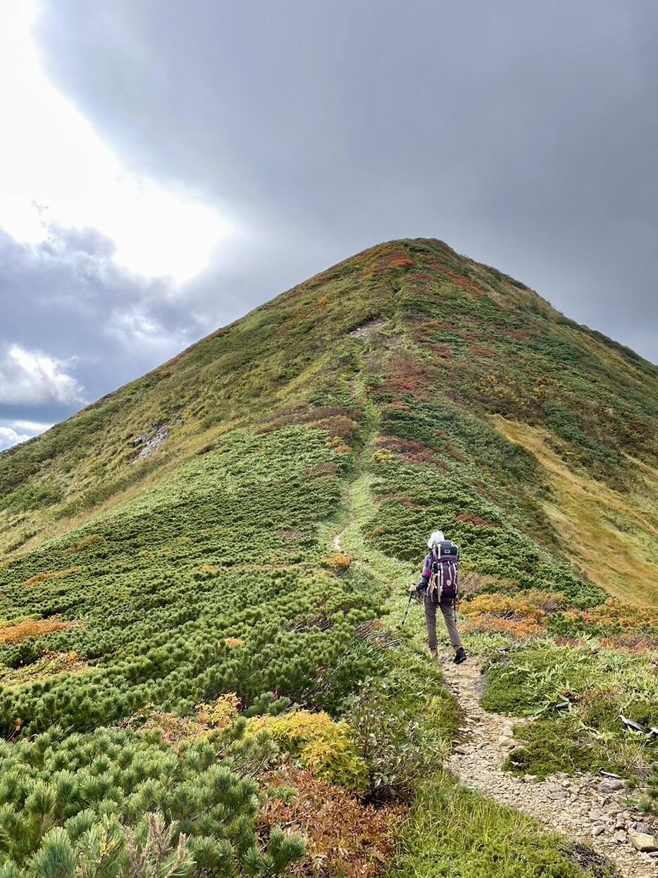 朝日鉱泉〜中ツル尾根経由大朝日岳周遊🔃 / w823hさんの大朝日岳・朝日連峰・祝瓶山の活動データ | YAMAP / ヤマップ