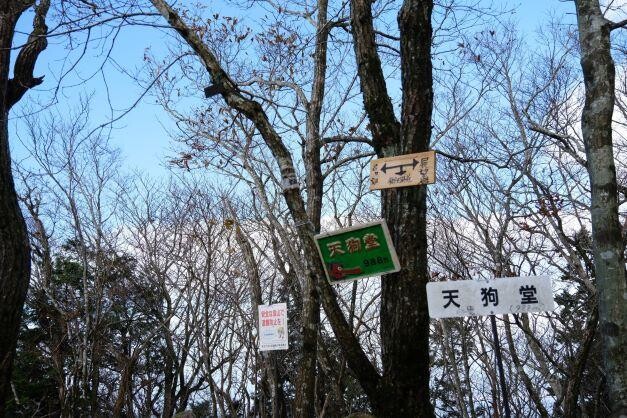 天狗堂988m～サンヤリ958m 滋賀県東近江市 / Mt.Togamiさんの天狗堂の活動データ | YAMAP / ヤマップ