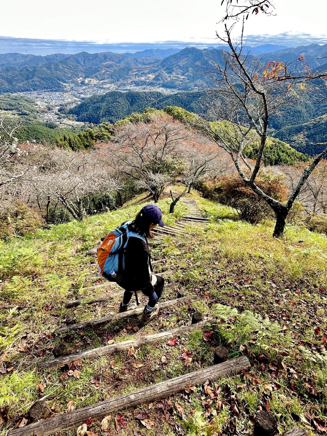 ゆるゆる低山ハイク⛰️桜山 / maruco87さんの御荷鉾山・オドケ山・桐ノ城山の活動日記 | YAMAP / ヤマップ