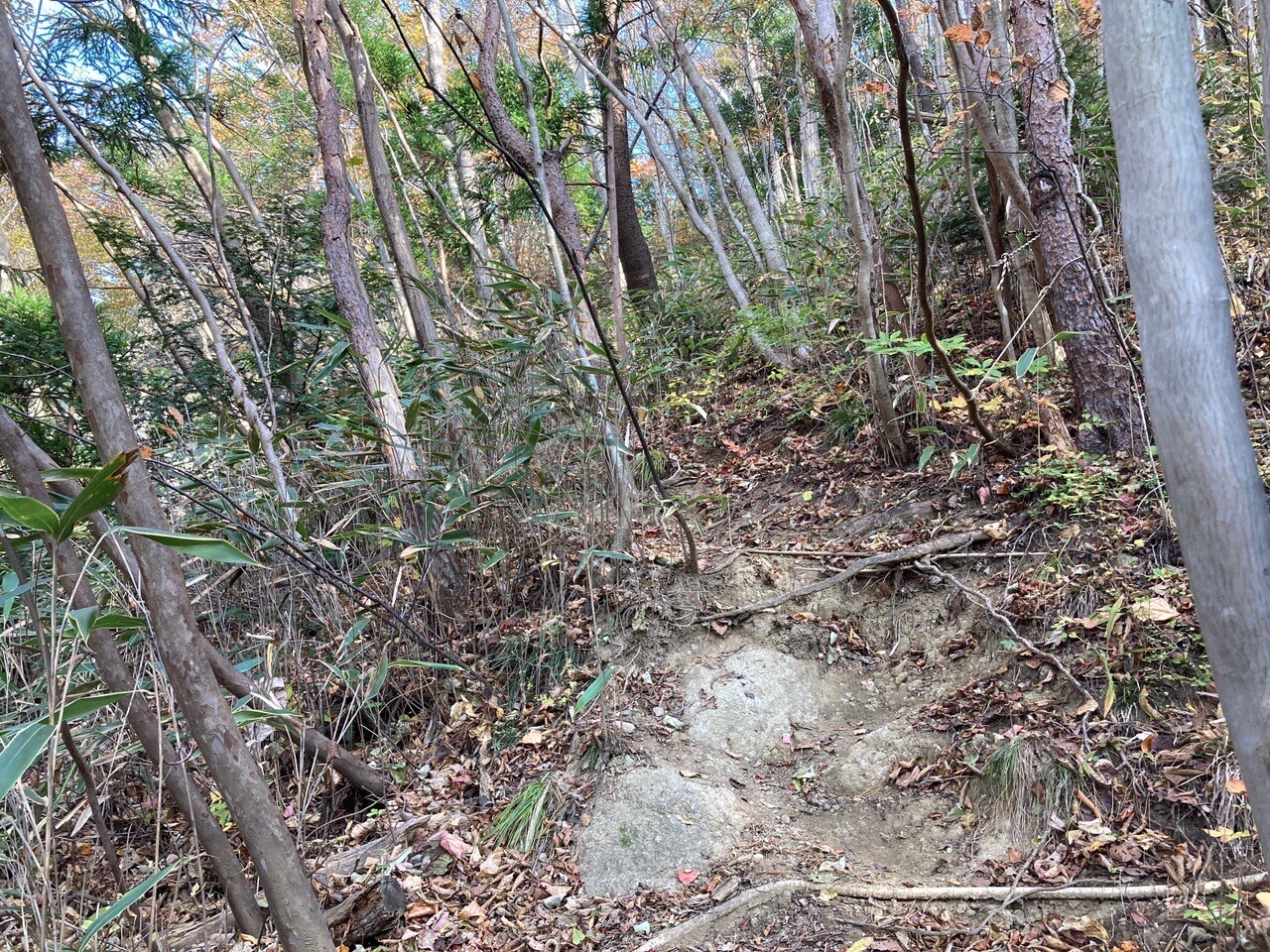 Yoshimiさんの投稿したフィールドメモ | YAMAP / ヤマップ