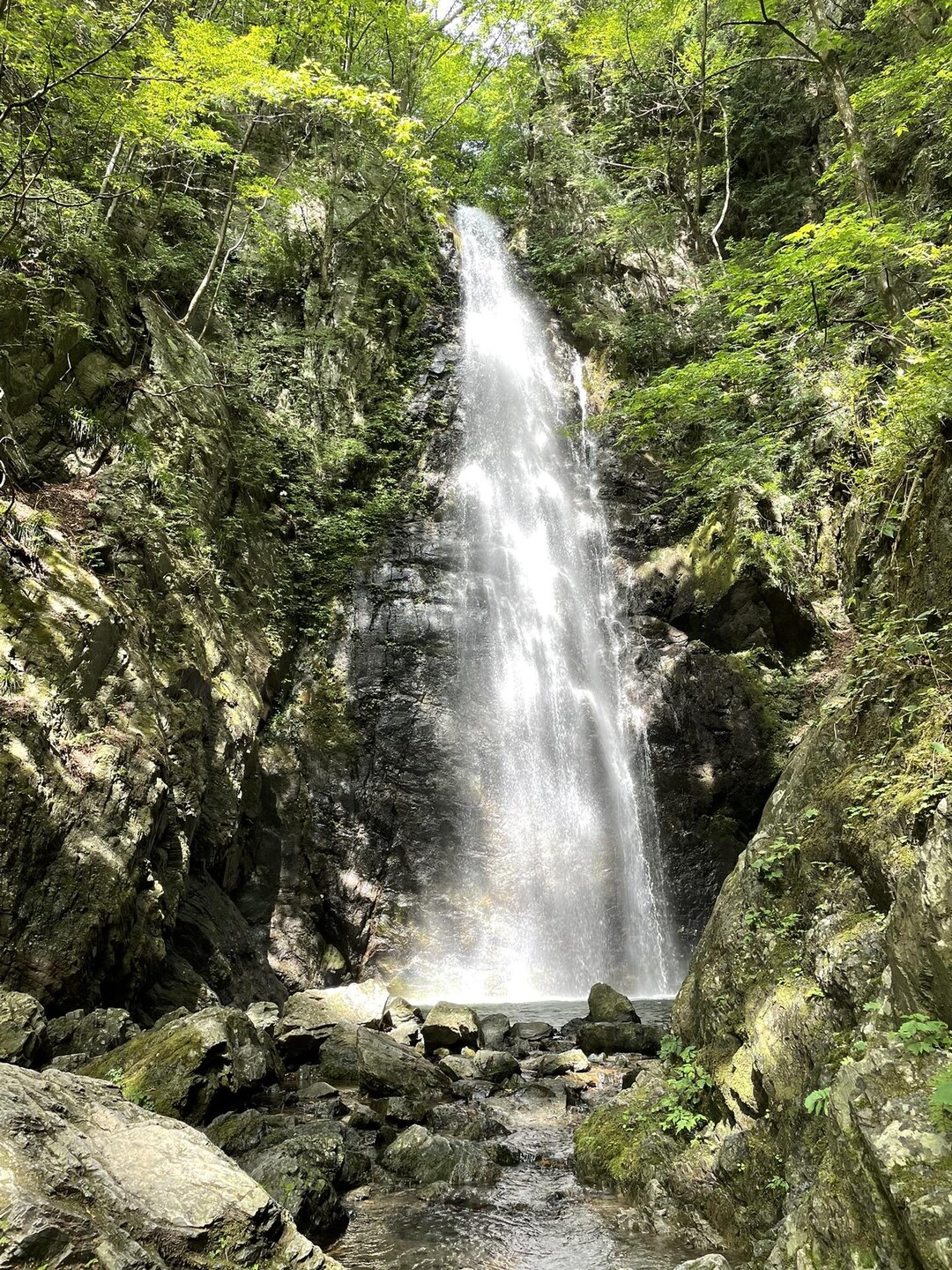 川苔山（川乗山）1362m / audienceさんの川苔山（川乗山）の活動データ | YAMAP / ヤマップ