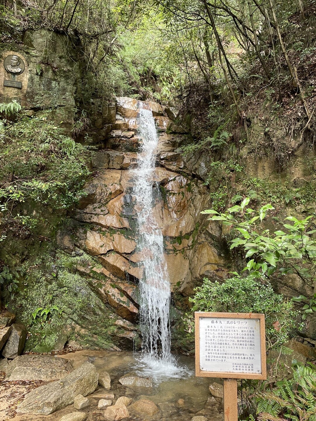 東お多福山・蛇谷北山・後鉢巻山・六甲山 / YAMAP 武内さんの六甲山・長峰山・摩耶山の活動データ | YAMAP / ヤマップ
