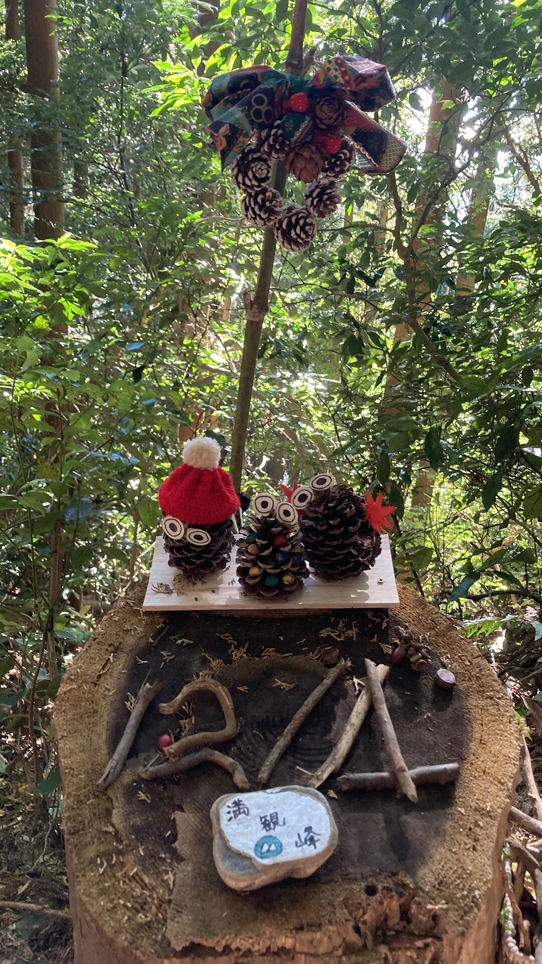 満観峰⛰🏃‍♀️ / KRN.mmさんの焼津アルプス（高草山・満観峰・花沢山）・徳願寺山の活動データ | YAMAP / ヤマップ