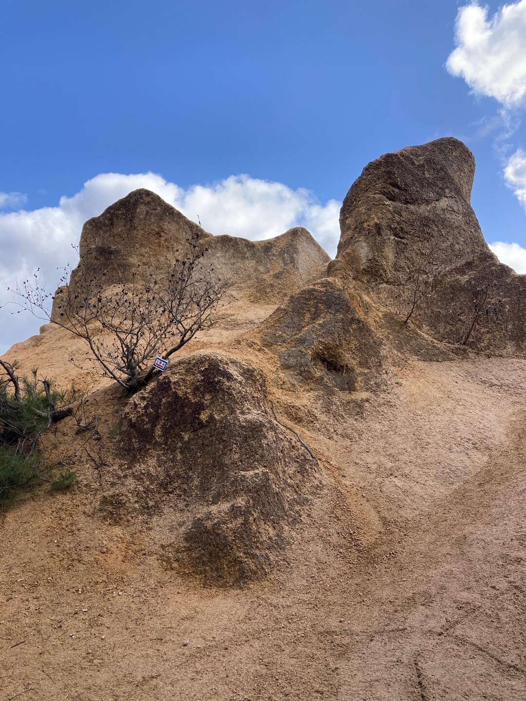 兵庫県六甲山、近くて遠かった山⛰よくばり8座 / masahiroさんの六甲山・長峰山・摩耶山の活動データ | YAMAP / ヤマップ