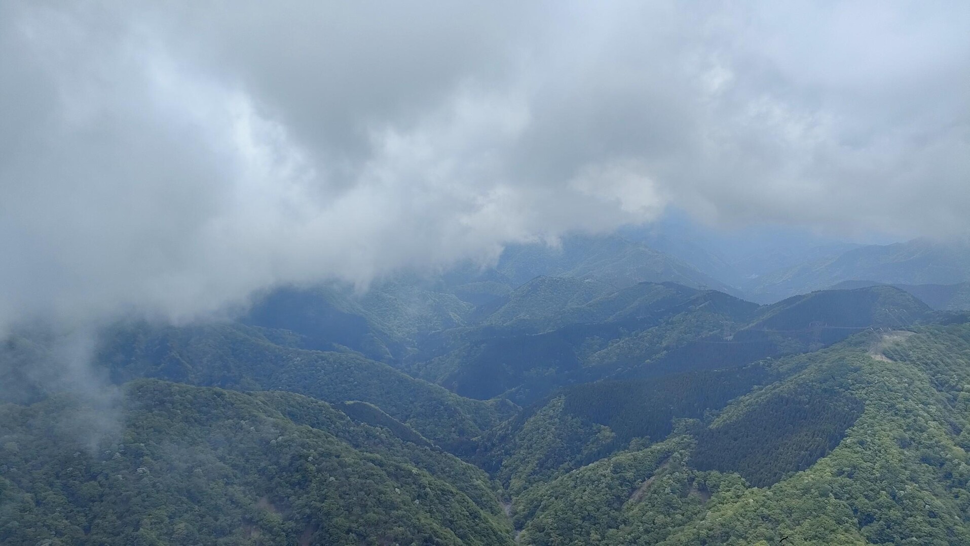 藤原岳・天狗岩 / S kazuさんの藤原岳・御池岳の活動データ | YAMAP / ヤマップ