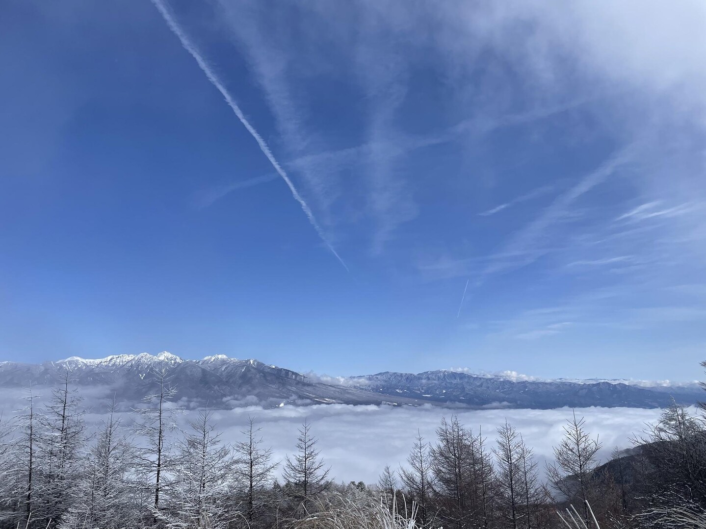 アカノラ山・入笠山 / ayaさんの入笠山の活動データ | YAMAP / ヤマップ