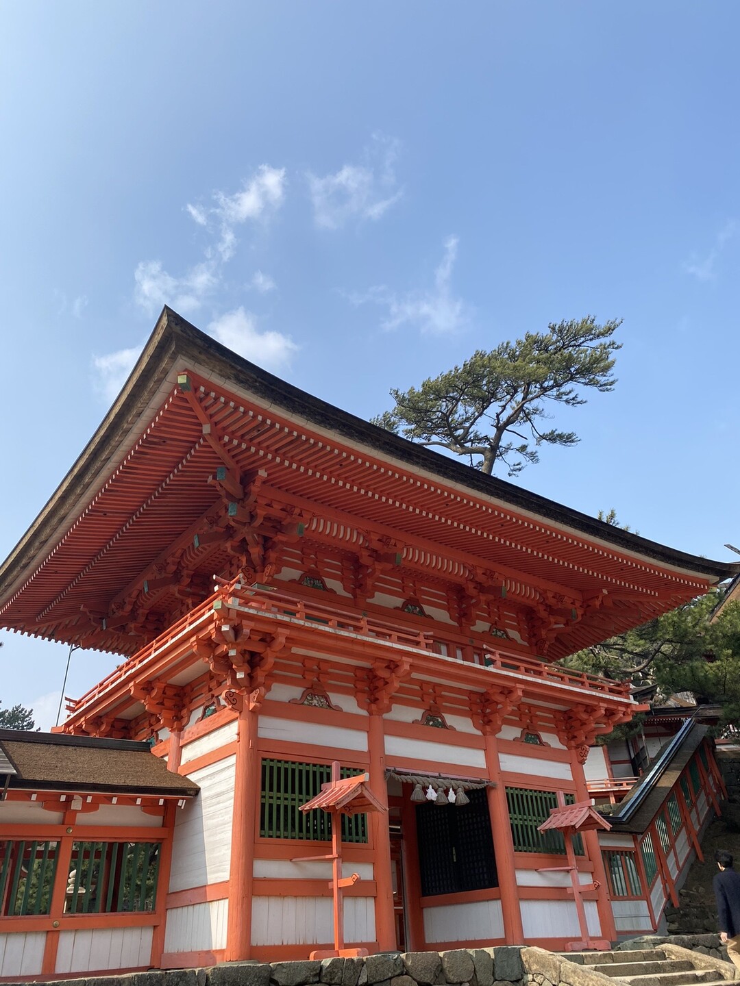 高尾山へ下見に / mountain Tigerさんの鼻高山・弥山・旅伏山の活動データ | YAMAP / ヤマップ