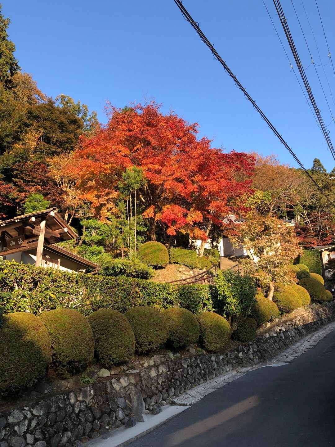 大日山・大文字山 / akky@あきらめない！さんの大文字山・如意ヶ嶽・稲荷山の活動データ | YAMAP / ヤマップ