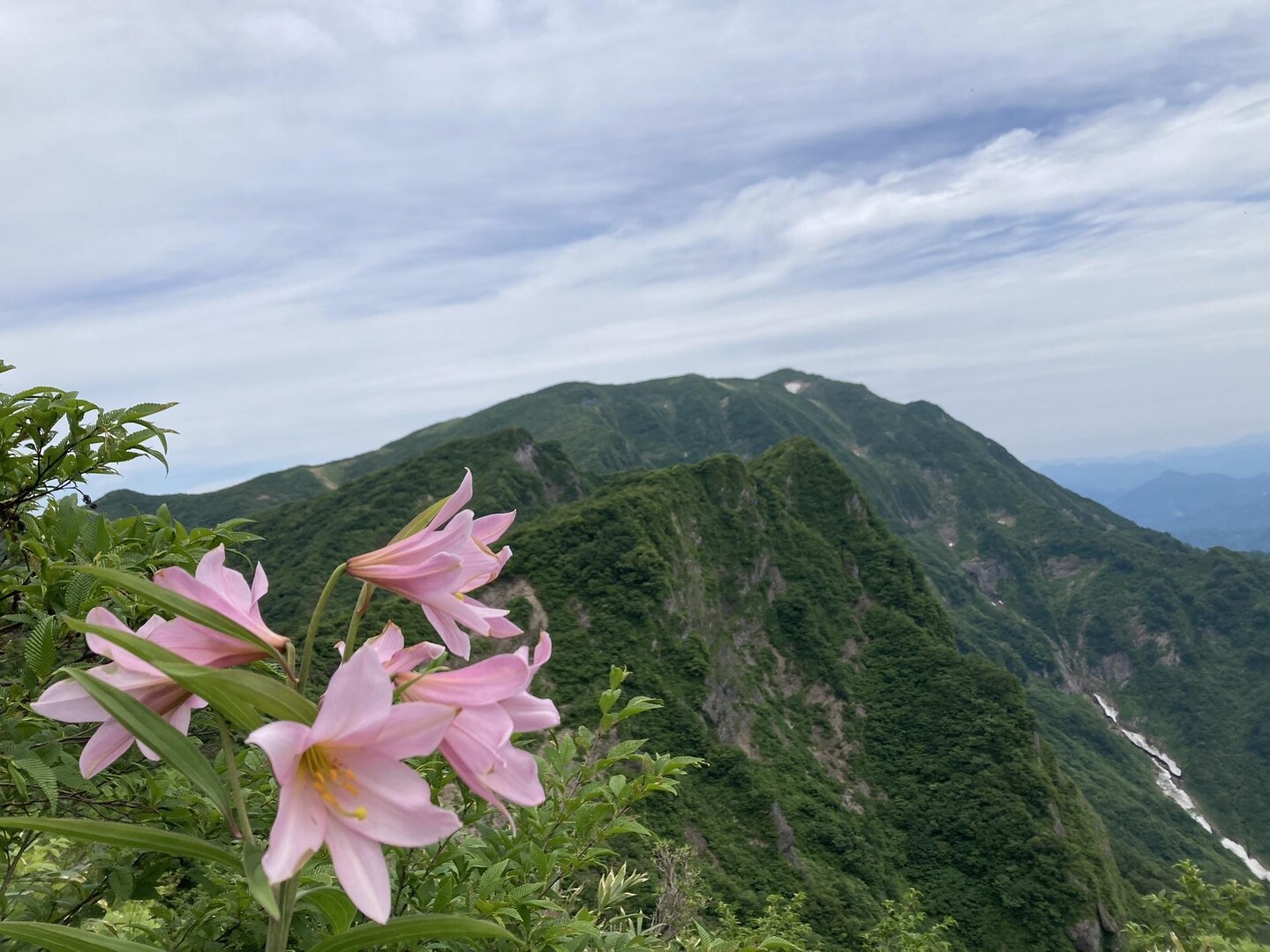 浅草岳 / rinさんの浅草岳・鬼ヶ面山の活動データ | YAMAP / ヤマップ
