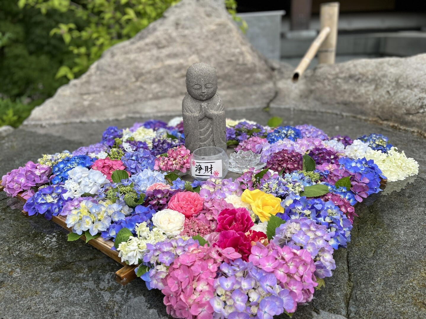 倶利伽羅不動寺鳳凰殿の紫陽花を浮かべた花... / kikuさんのモーメント | YAMAP / ヤマップ