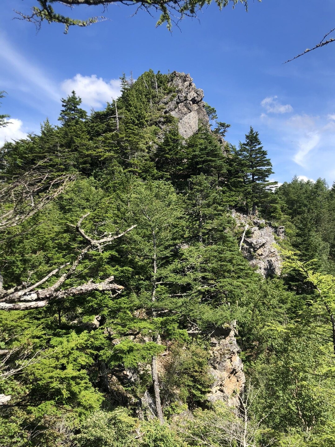 三国山・悪石・梓白岩・弁慶岩 / necomaru Xさんの甲武信ヶ岳の活動日記 | YAMAP / ヤマップ