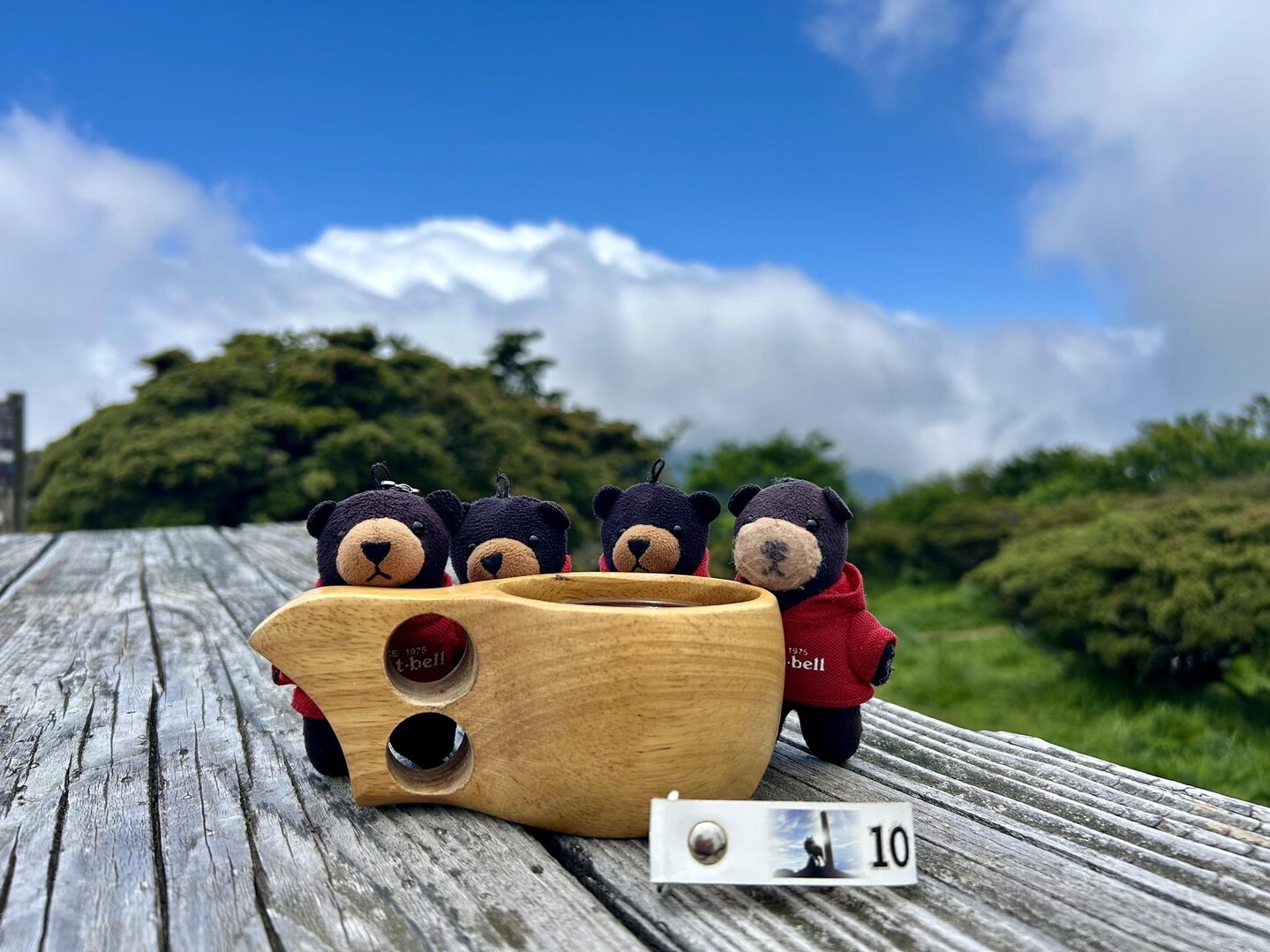 直射日光を避けて森の中((´∀`*))鶴見岳 / datinさんの由布岳・鶴見岳の活動データ | YAMAP / ヤマップ