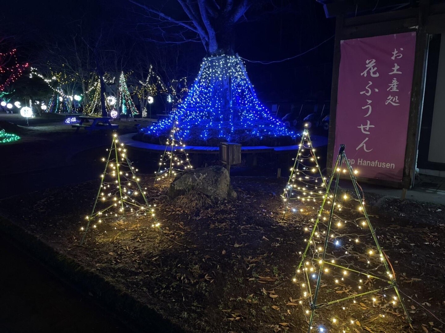 12月6日、午後からの晴れ間も束の間。山... / ma-sa-kiさんのモーメント | YAMAP / ヤマップ