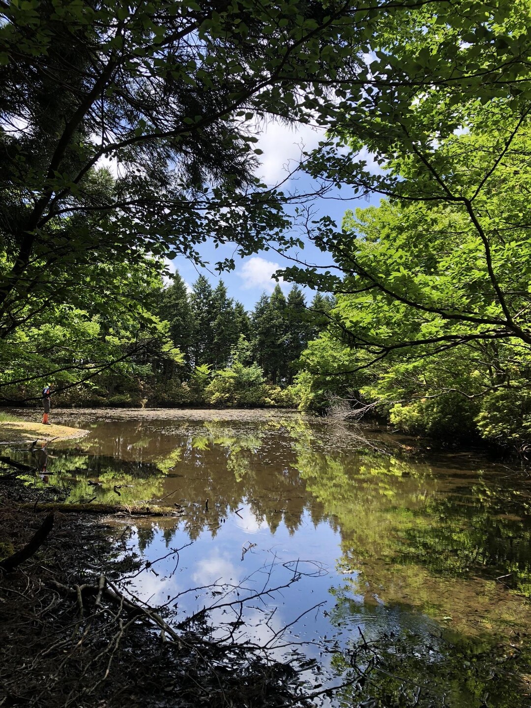 佐目子谷から水舟の池・天狗岩・銚子ヶ口西峰 / shippoさんの綿向山の活動データ | YAMAP / ヤマップ