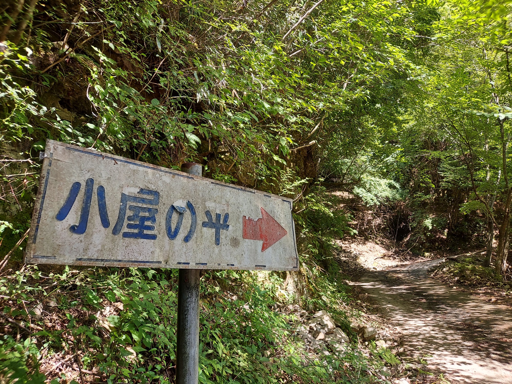 椎葉村 青鈴山、龍岩 / derainandreさんの椎葉村の活動データ | YAMAP / ヤマップ