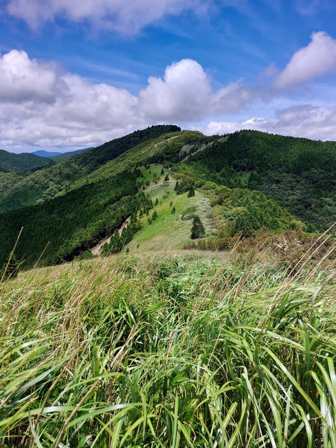 花牟礼山とながみず山🌾 / ka-ruさんの花牟礼山の活動データ | YAMAP / ヤマップ