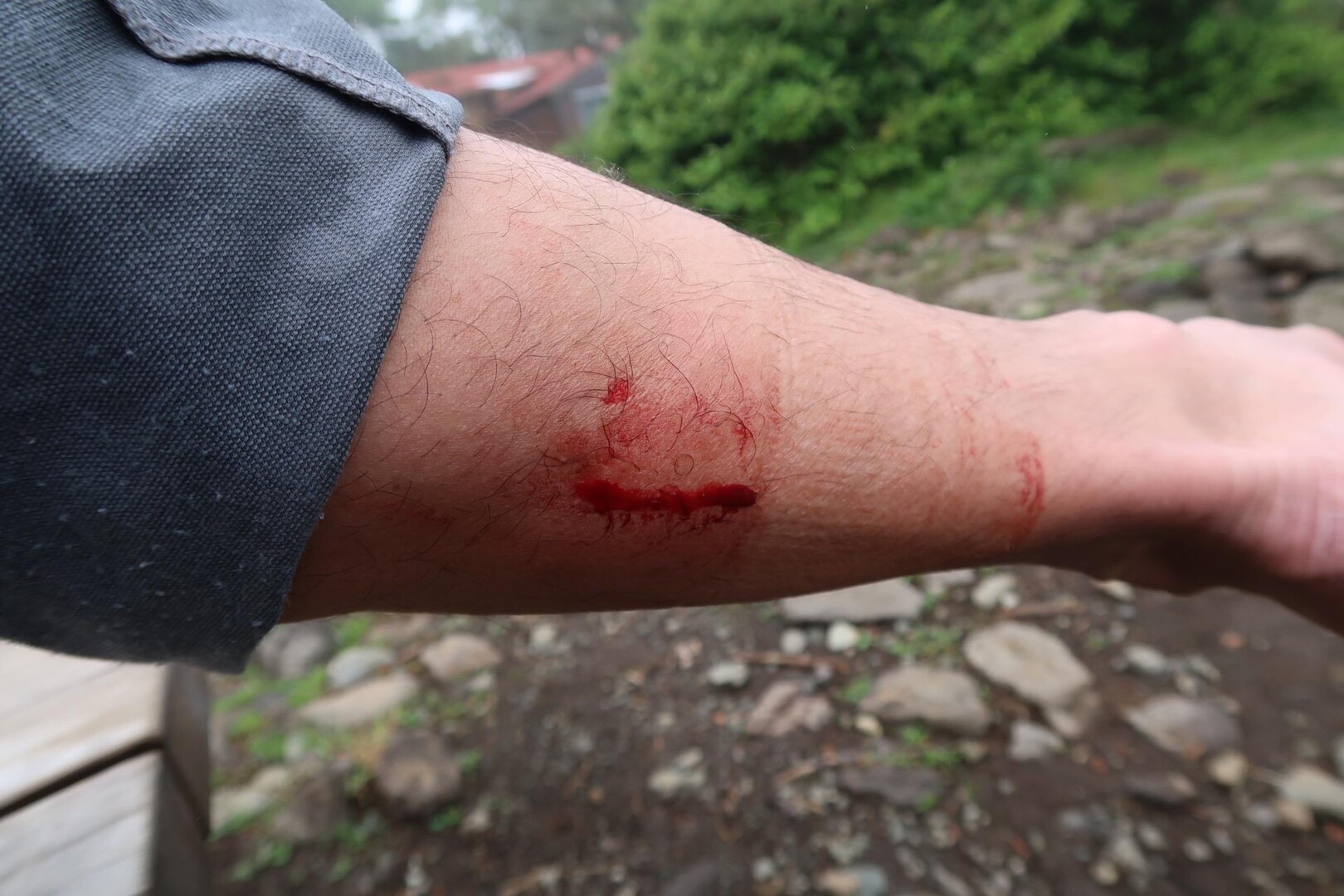 雨山峠〜鍋割山と山ビル / KJR-Rさんの塔ノ岳・丹沢山・蛭ヶ岳の活動データ | YAMAP / ヤマップ