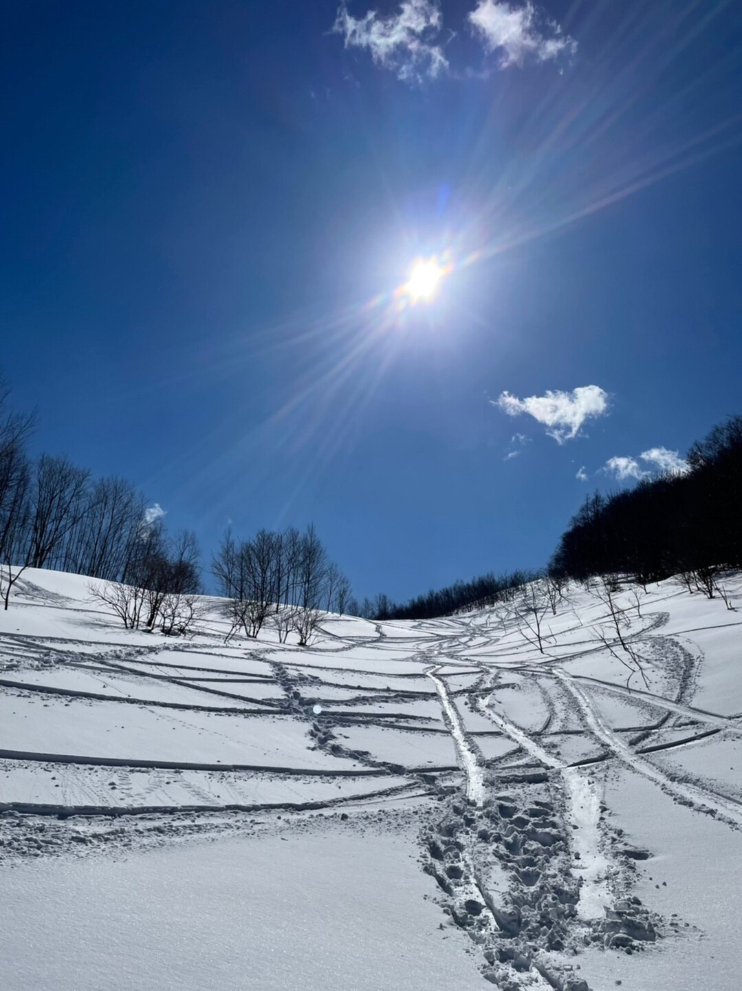 穴沢山 / makyさんの豊平山（焼山）の活動データ | YAMAP / ヤマップ