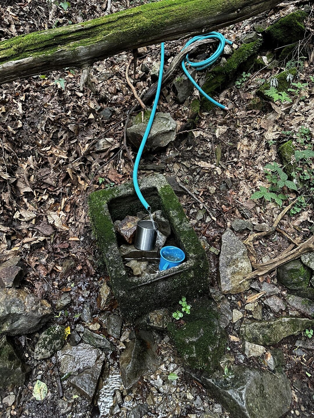 ansoさんの投稿したフィールドメモ | YAMAP / ヤマップ