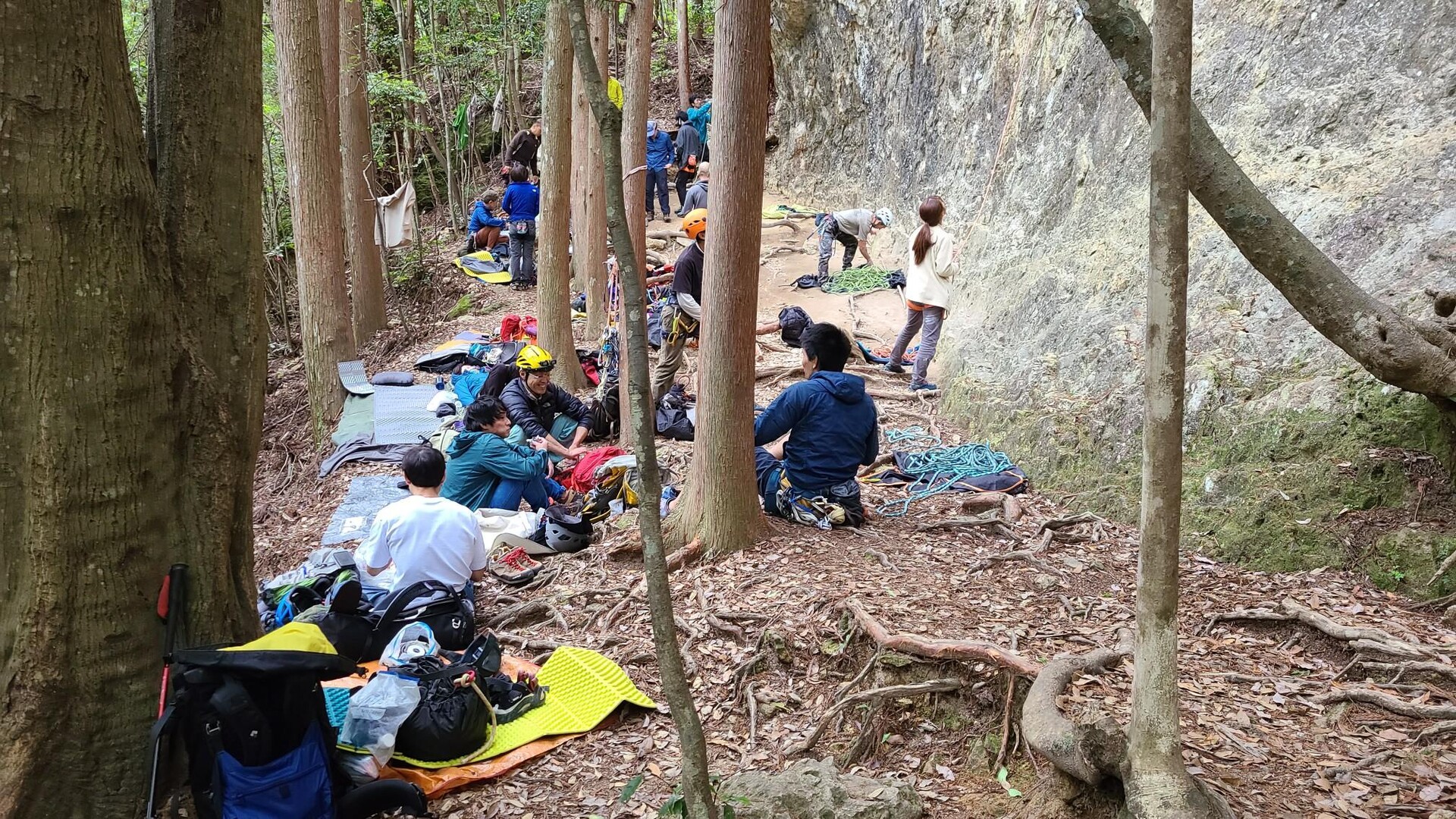 鳳来がんこ 人酔い / wolfさんの明神山（三ツ瀬明神山）の活動データ | YAMAP / ヤマップ