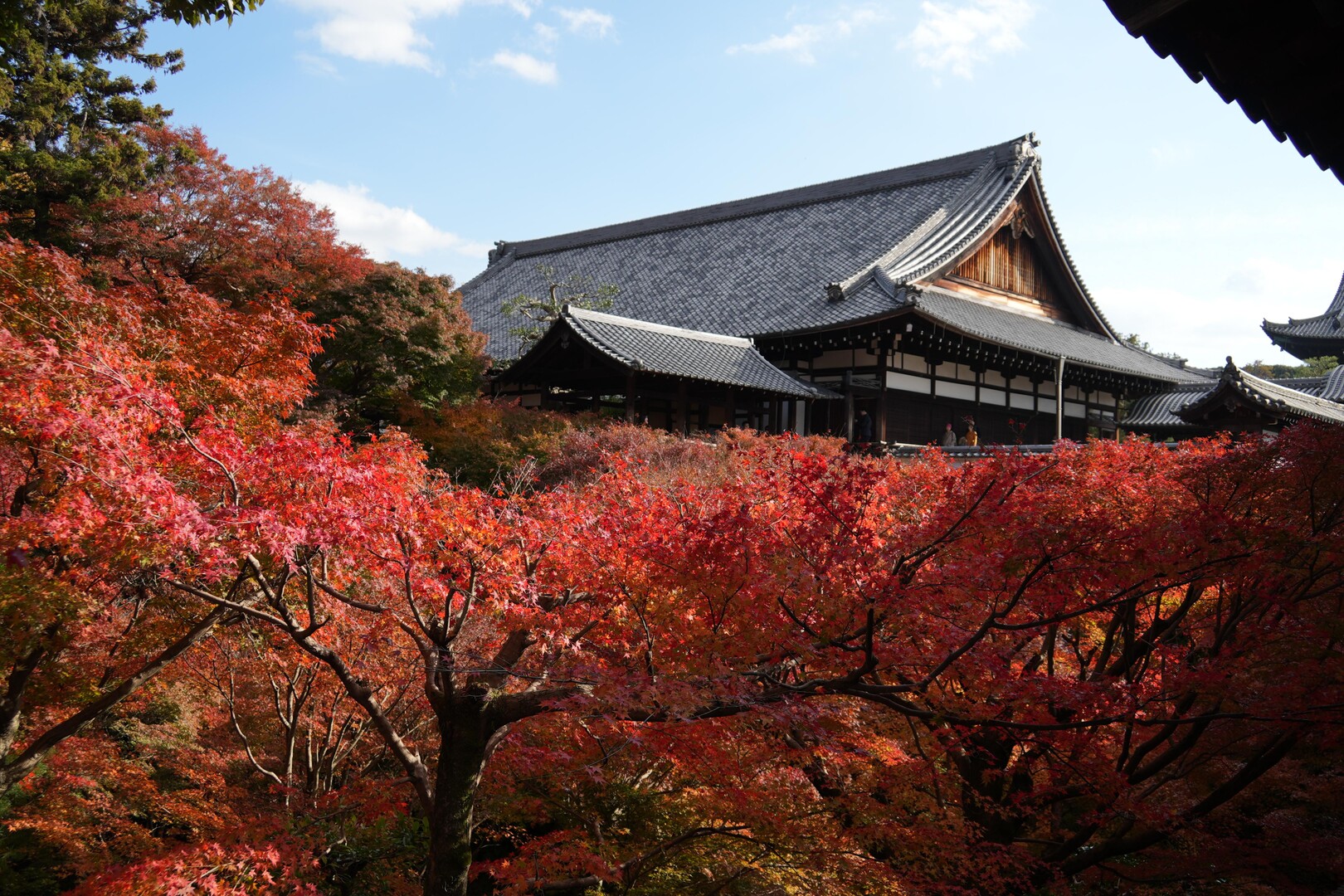 【東福寺🍁】 / CAT MINISTERさんの京都市の活動データ | YAMAP / ヤマップ
