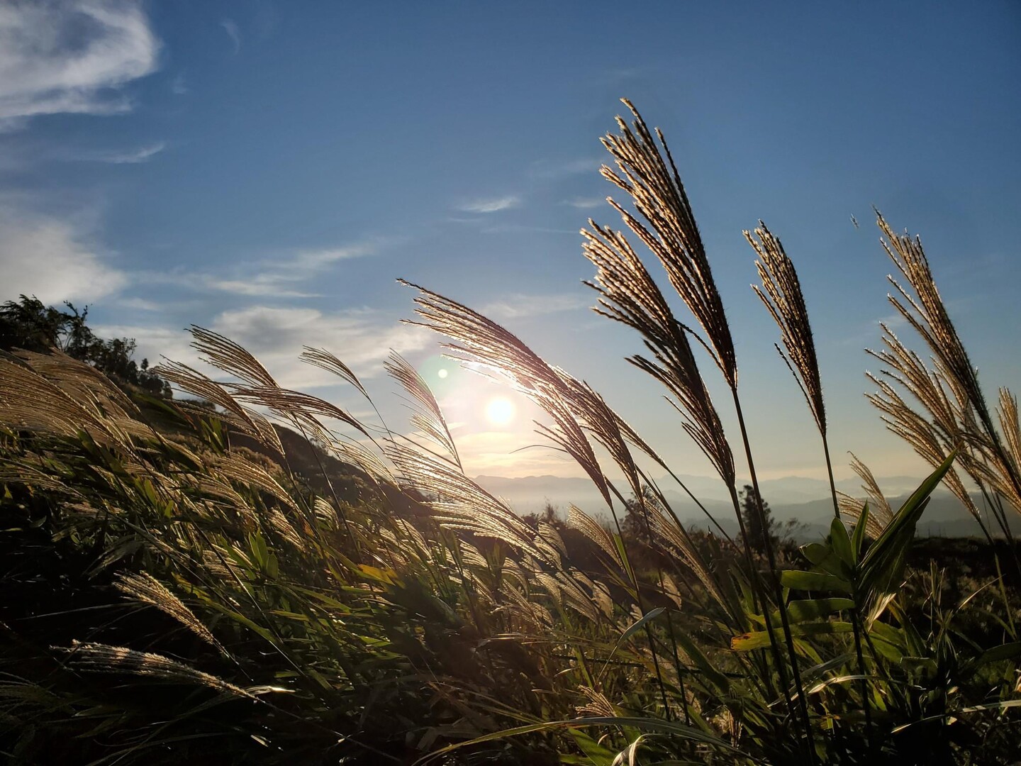 清栄山 / HAYATEさんの俵山・冠ヶ岳・清栄山の活動データ | YAMAP / ヤマップ