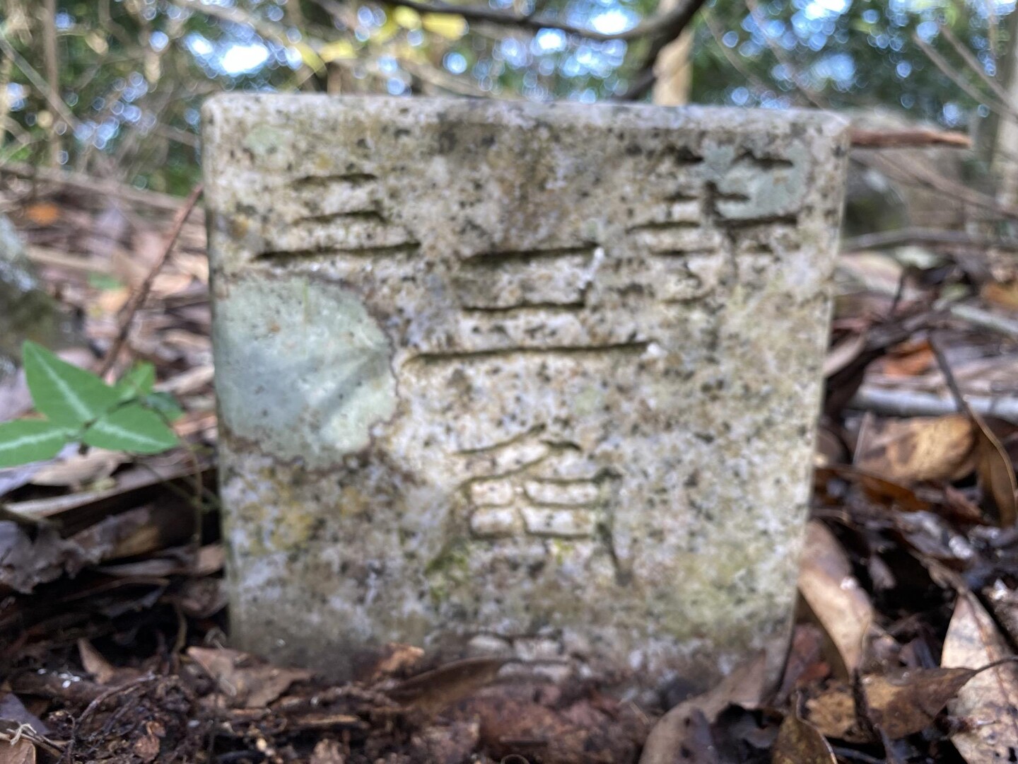 霜月ﾅﾉﾆ 大HANABI 𝟶𝟾〜 大通山 / 梅と平和を噛みしめてさんの伊万里市の活動データ | YAMAP / ヤマップ