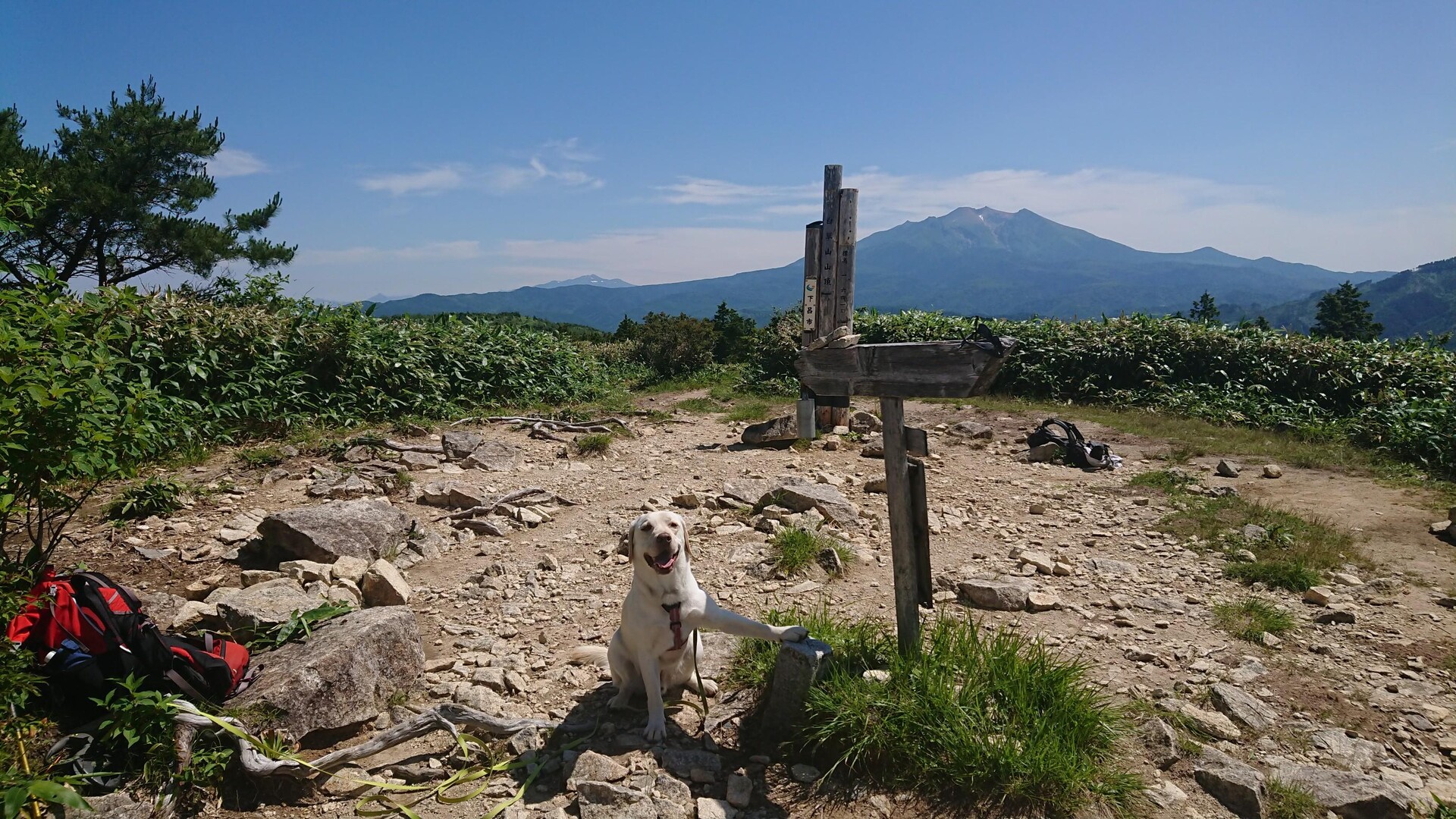 白草山・箱岩山 2023.7.3 / satoさんの槍ヶ岳・穂高岳・上高地の活動日記 | YAMAP / ヤマップ