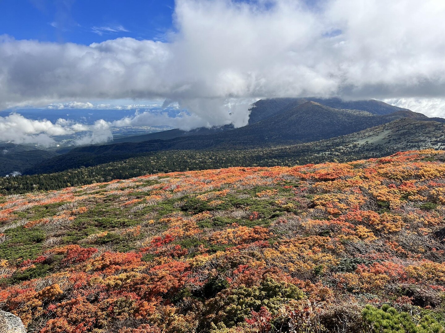三ッ石山 / HTさんの三ッ石山・大深岳・諸桧岳の活動日記 | YAMAP / ヤマップ