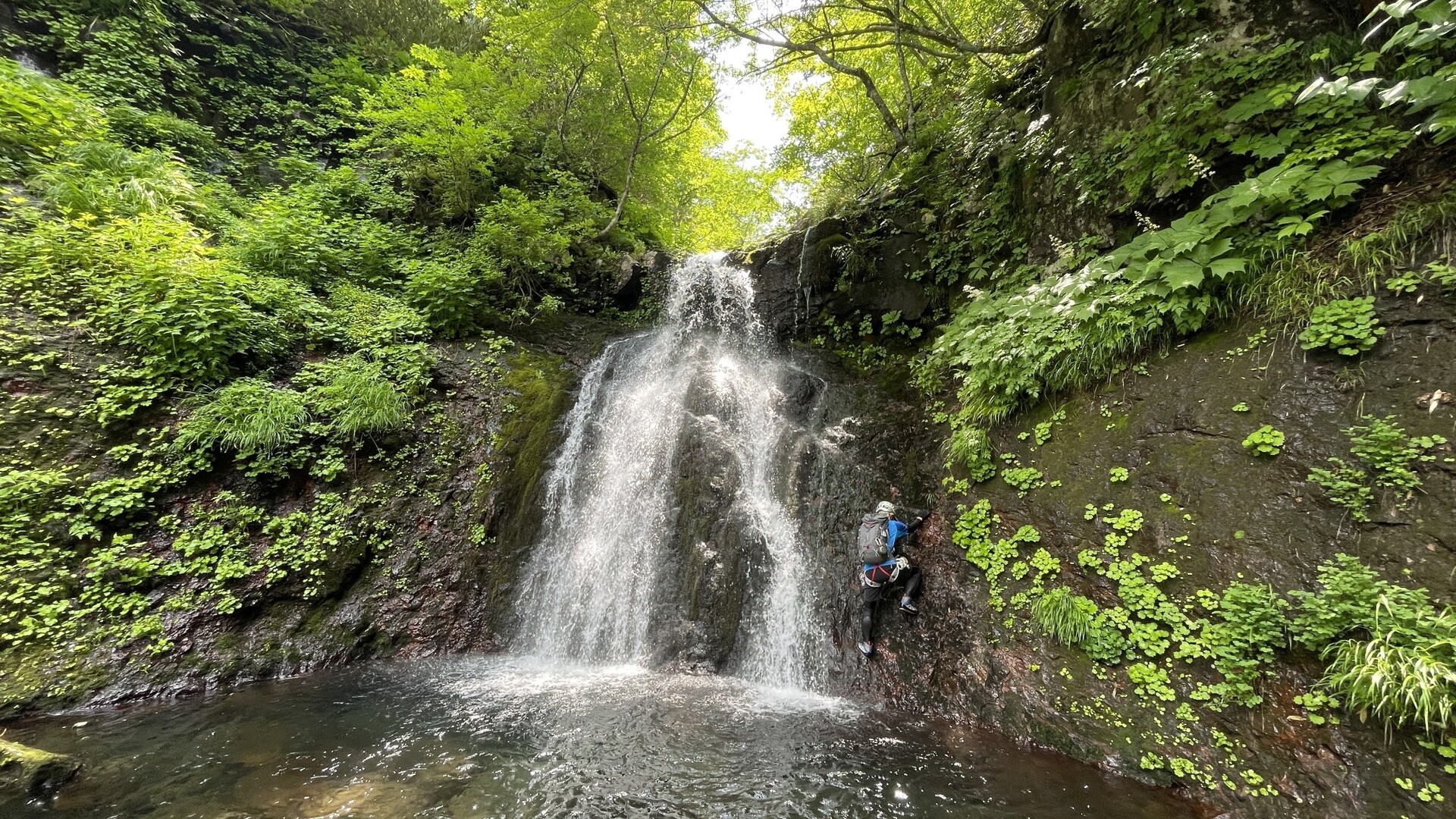 蔵王山 小阿寺沢-2022-06-19 / satorinさんの蔵王山・雁戸山・不忘山の活動データ | YAMAP / ヤマップ