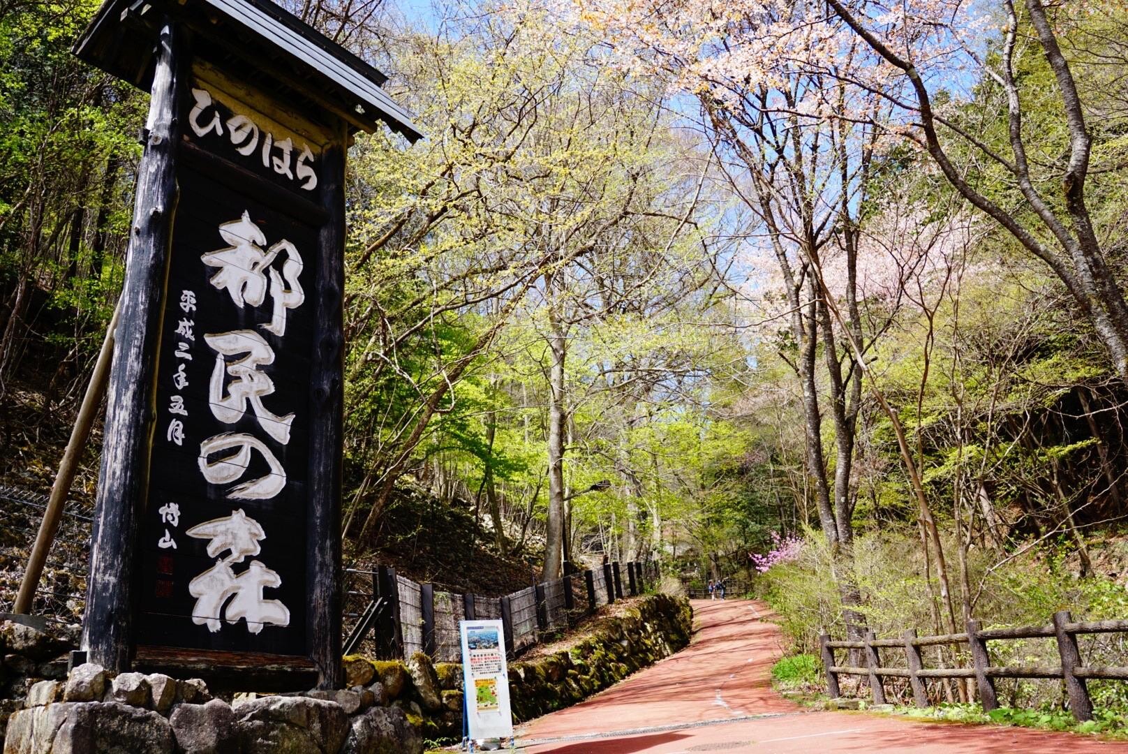 三頭山（西峰）・三頭山（中央峰）・三頭山（東峰） / tutuさんの三頭山・槇寄山・土俵岳の活動データ | YAMAP / ヤマップ