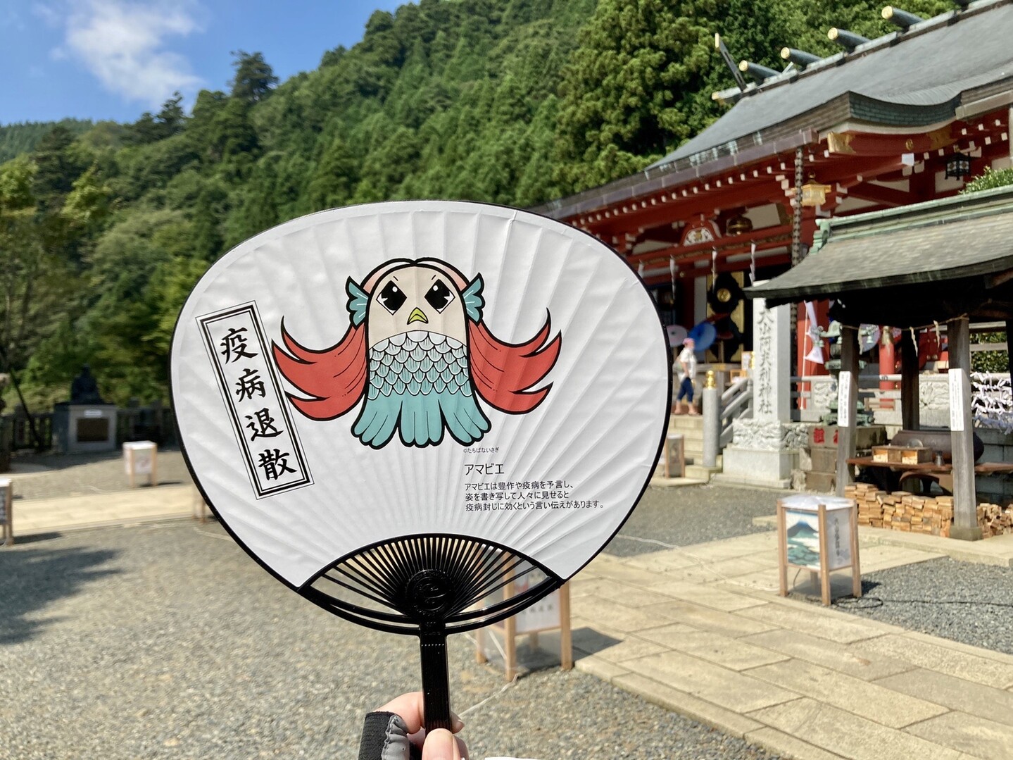 夏山の大山参り / あきーにょ ︎さんの大山の活動データ | YAMAP / ヤマップ