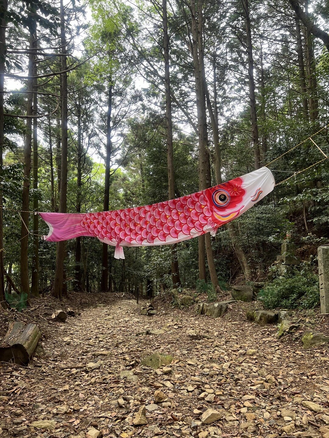 朝熊ヶ岳 / chibiさんの朝熊ヶ岳（朝熊山）・鼓ヶ岳・鷲嶺（袴腰山）の活動データ | YAMAP / ヤマップ