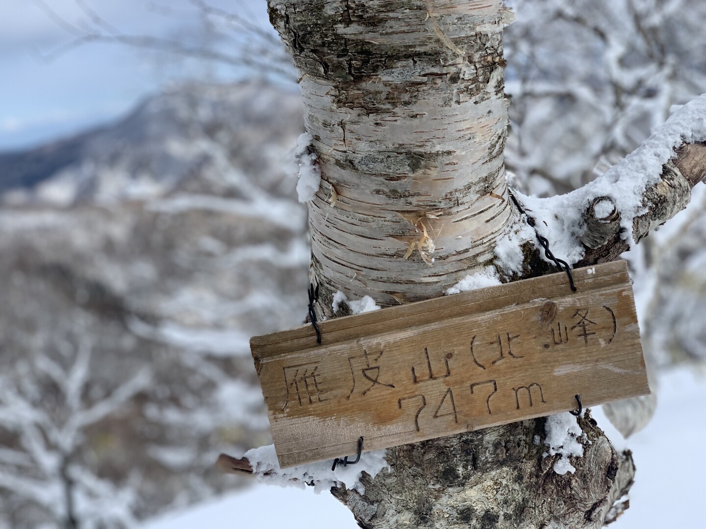 前後しましたが 雁皮山北峰 動画です ... / taka@wさんのモーメント | YAMAP / ヤマップ