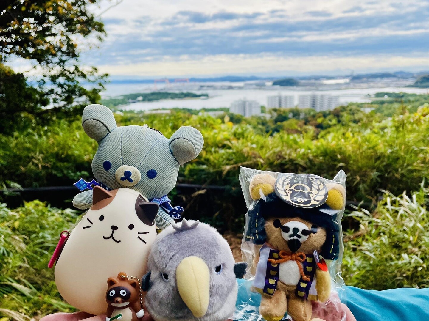 のんびり(#'ω')からの急げーっ(ll'ω')日向山・稲荷山・金沢山・野島山 / のりたまさんの金沢山・稲荷山・日向山の活動データ | YAMAP / ヤマップ