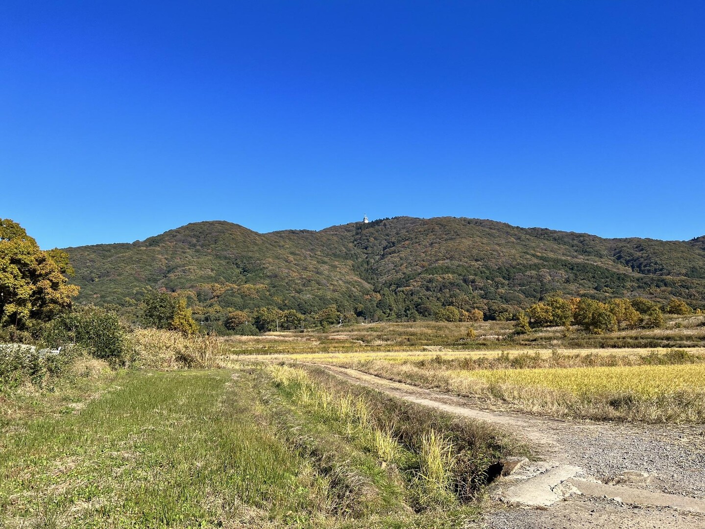 宝篋山 / sonoさんの宝篋山・富岡山の活動データ | YAMAP / ヤマップ