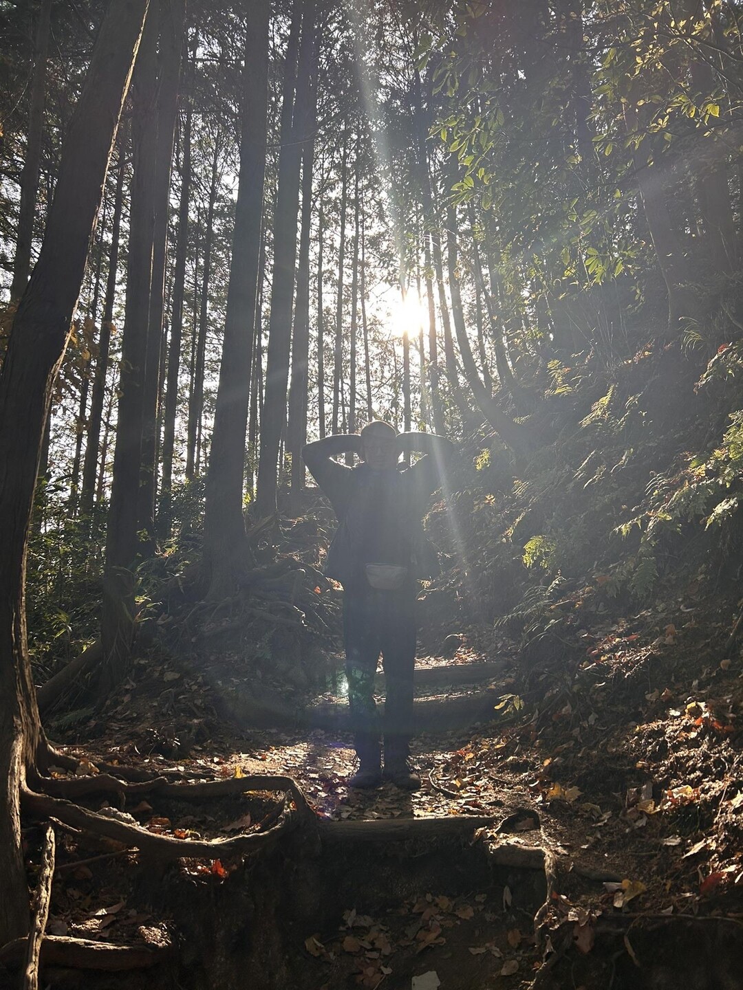 金剛山 もみじ谷⤴️青崩⤵️ / ko2さんの金剛山・二上山・大和葛城山の活動データ | YAMAP / ヤマップ