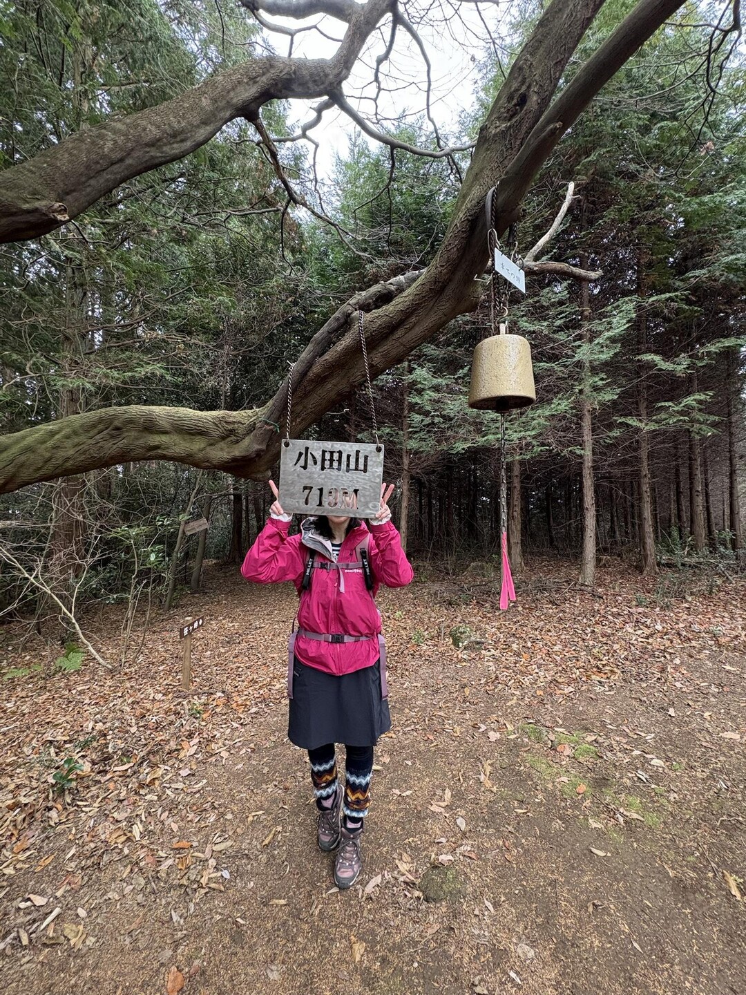 小田山 / yokkoさんの小田山の活動データ | YAMAP / ヤマップ