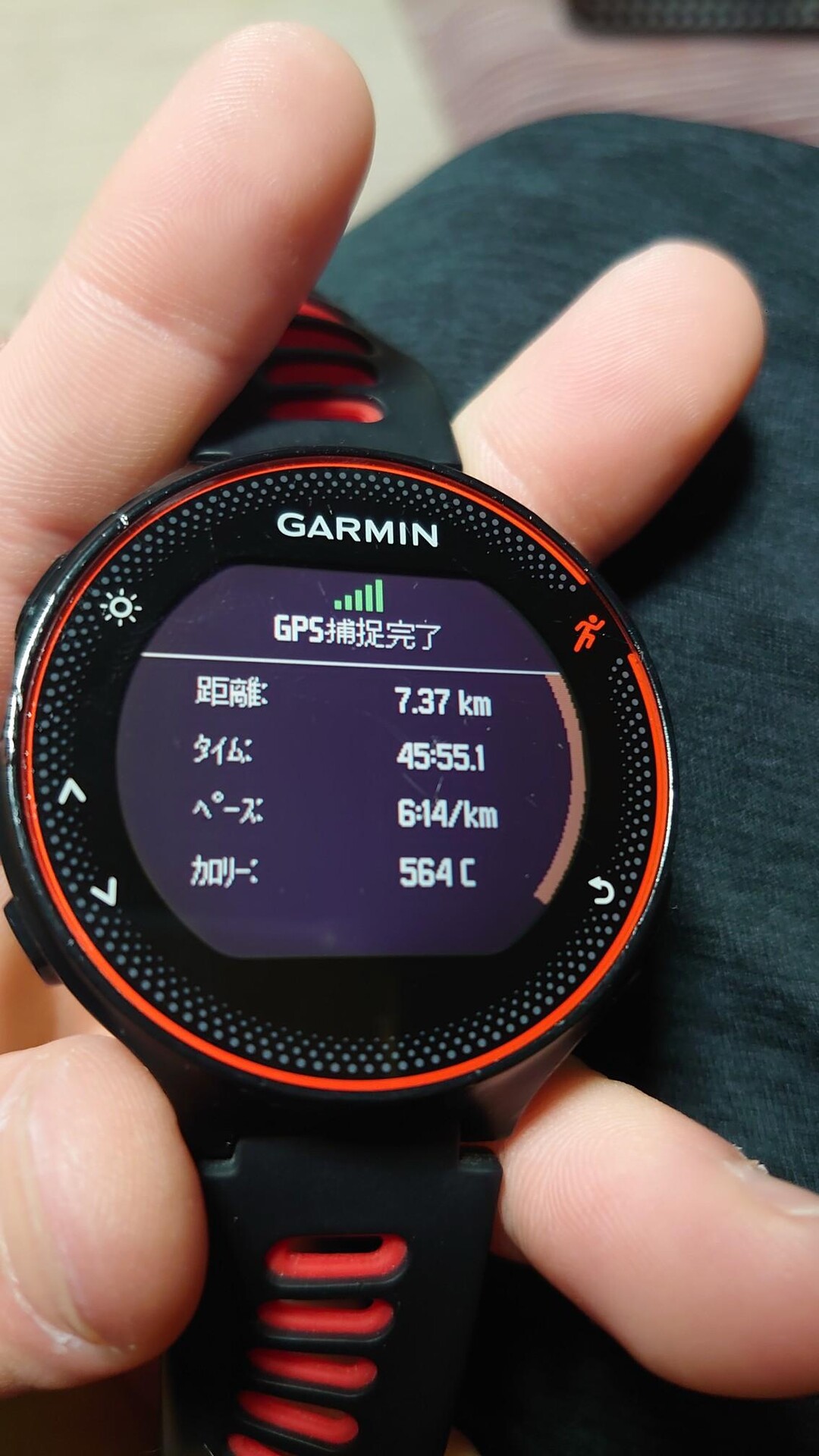 4/3 トレラン 46分 7.3km ... / のすけさんのモーメント | YAMAP / ヤマップ