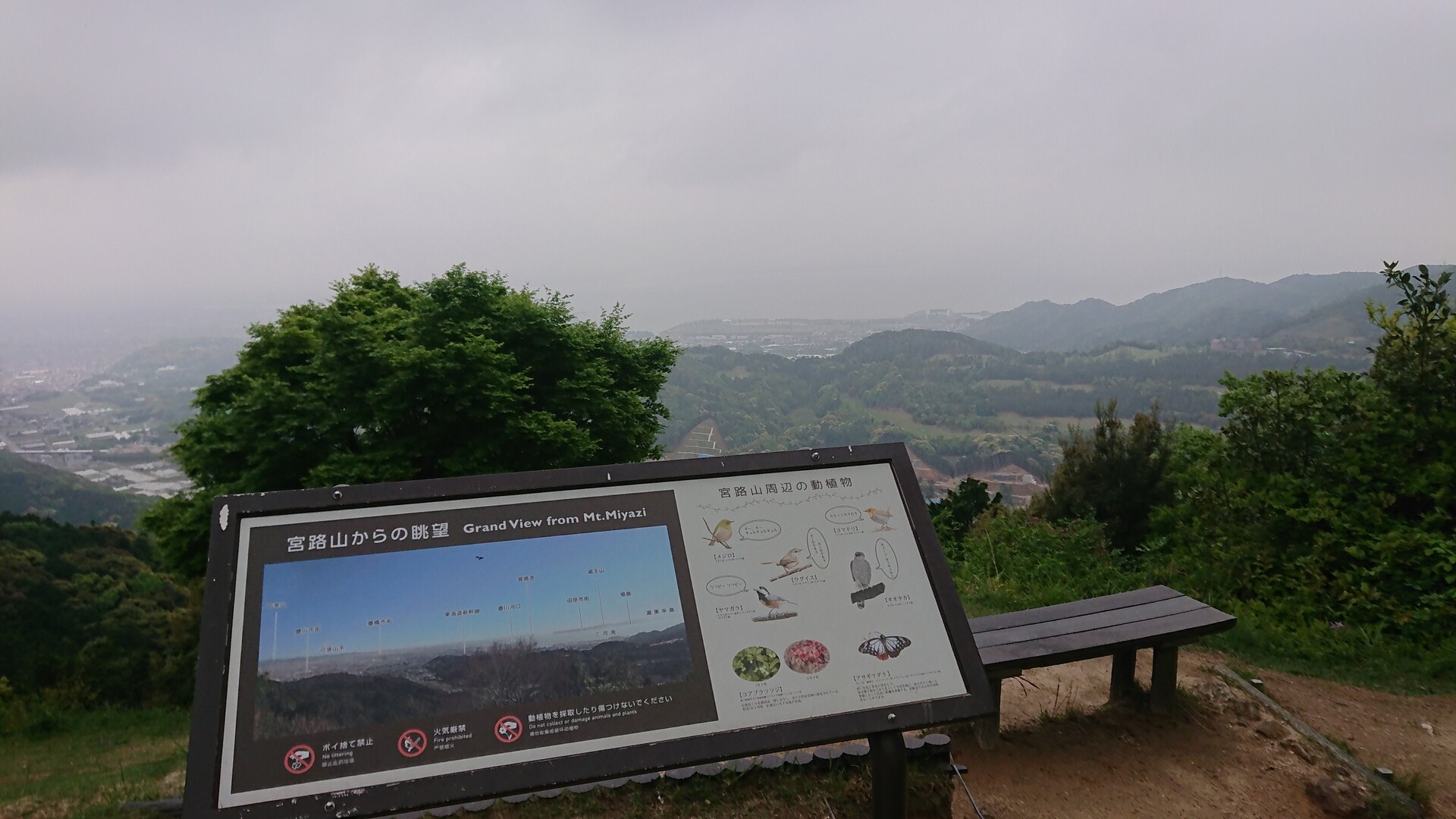 東三河ふるさと公園・遠見山・宮路山・赤坂山・五井山 / Detuさんの五井山・宮路山・御堂山の活動日記 | YAMAP / ヤマップ
