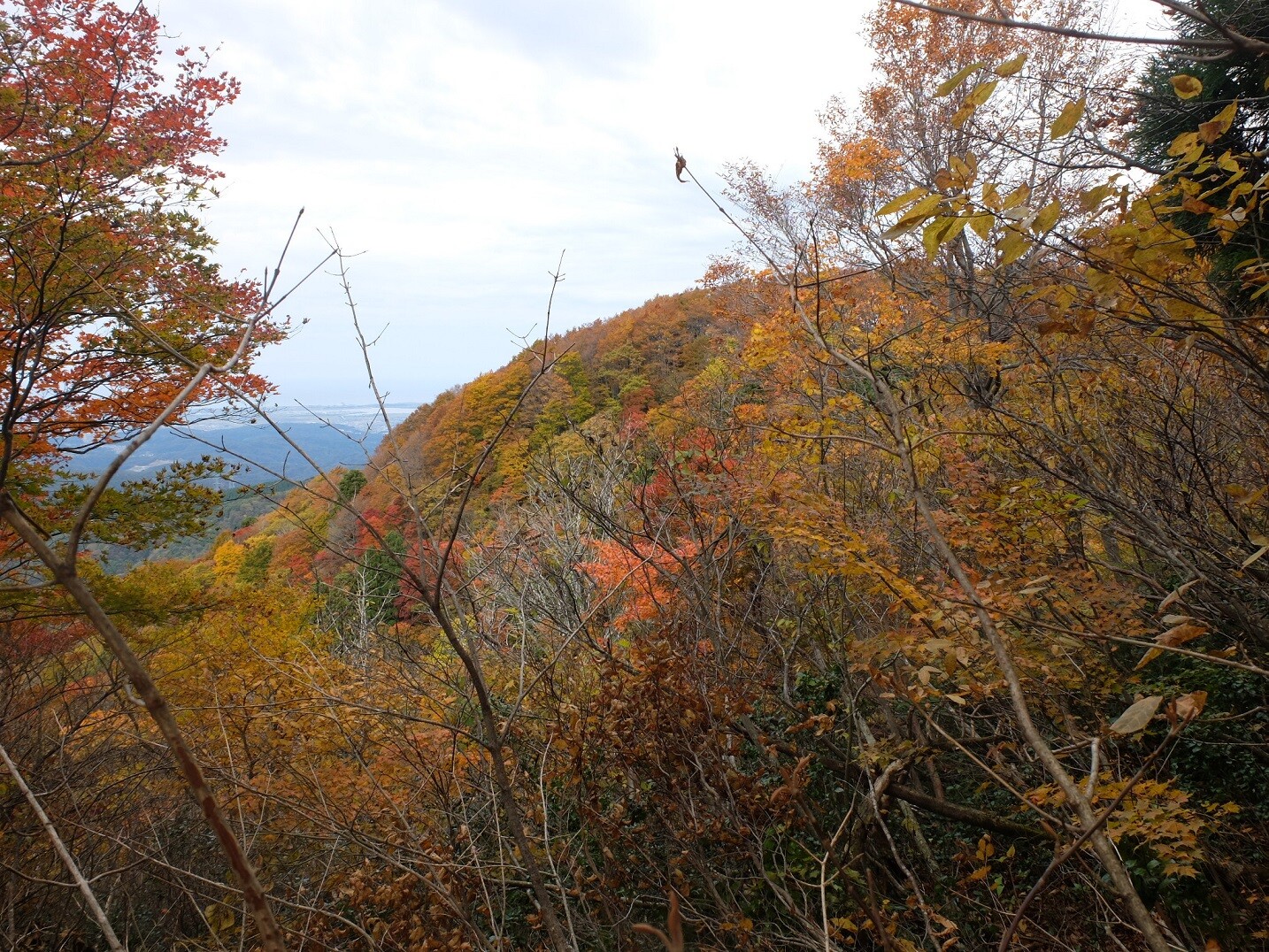 ’20・11・1 ☆ 医王山 / SMさんの医王山・白兀山・箱屋谷山の活動データ | YAMAP / ヤマップ
