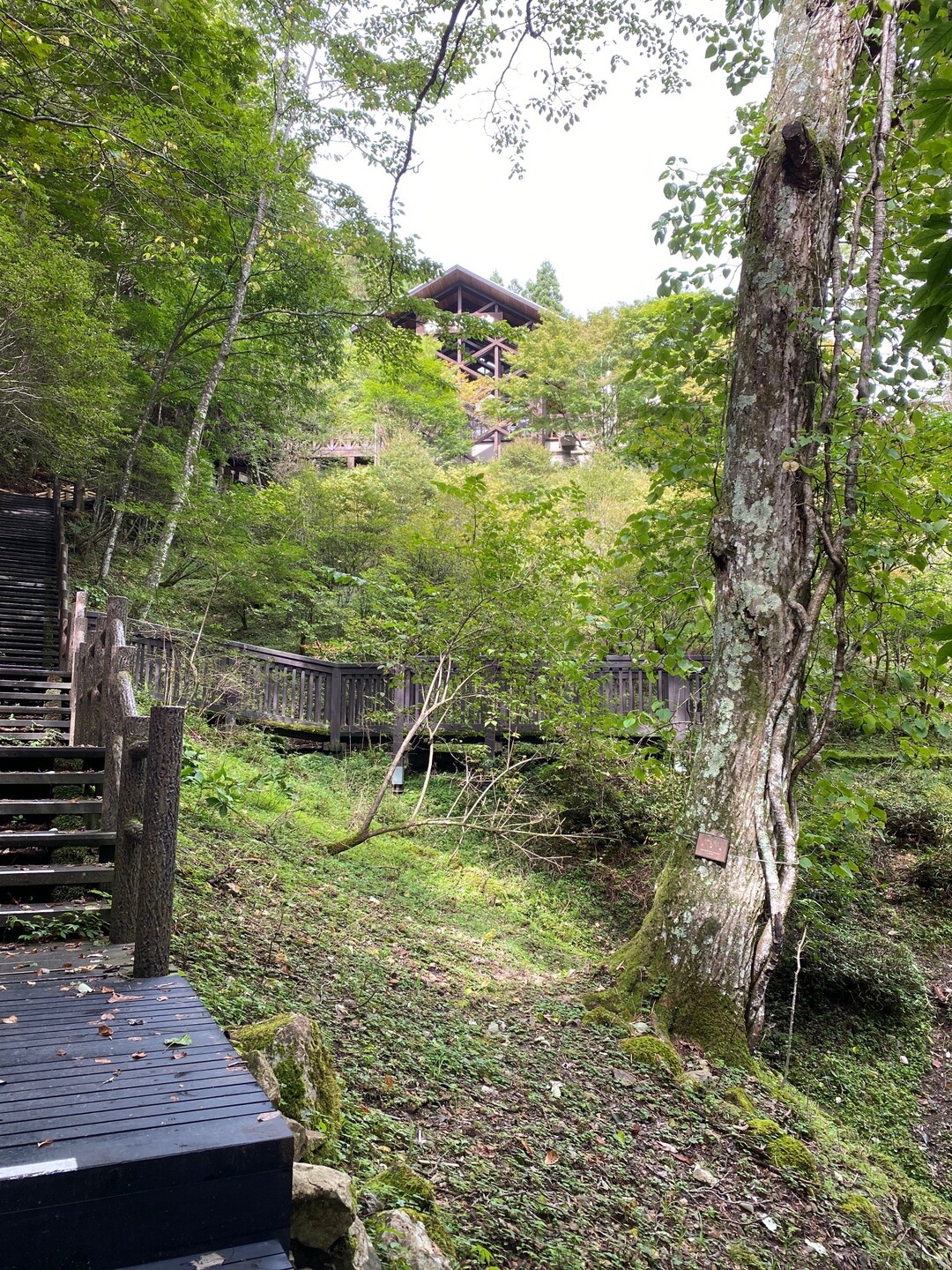 Emikoさんの投稿したフィールドメモ | YAMAP / ヤマップ