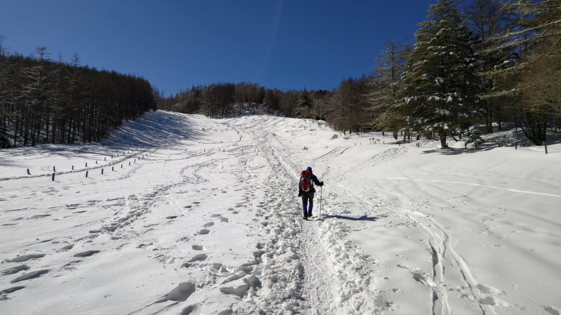 アカノラ山・入笠山 / 雅山kawaさんの入笠山の活動データ | YAMAP / ヤマップ