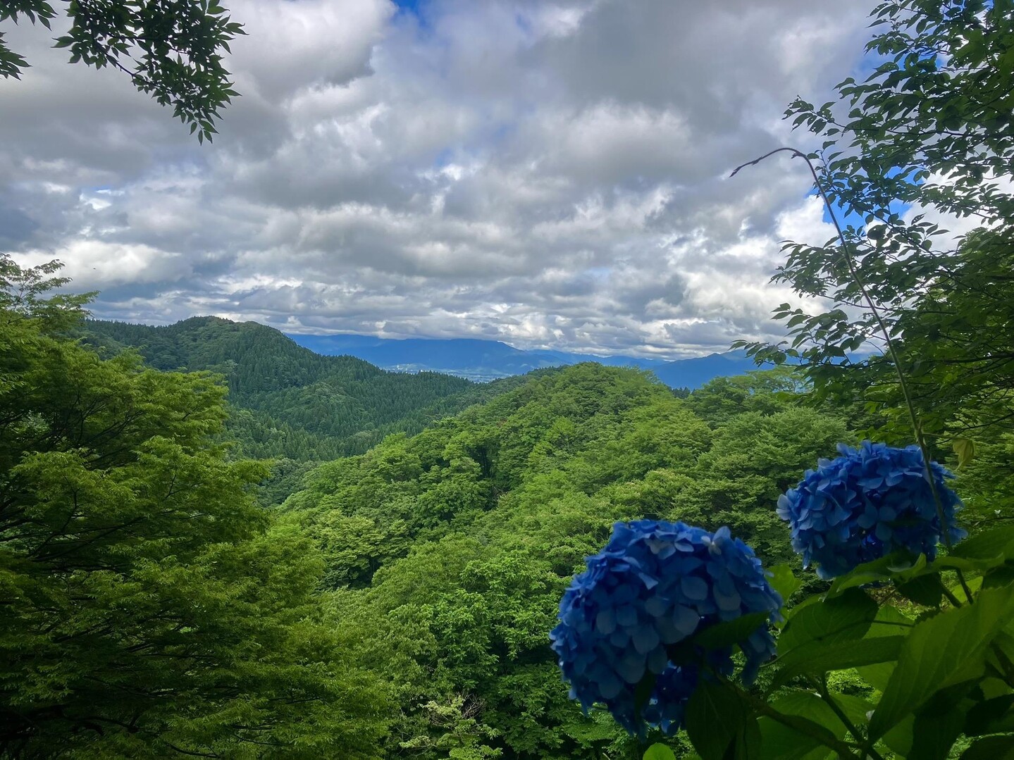 周回とピストン⛰️🏃‍♂️ ︎西山三山 / Naluさんの菩提寺山・高立山・護摩堂山の活動データ | YAMAP / ヤマップ